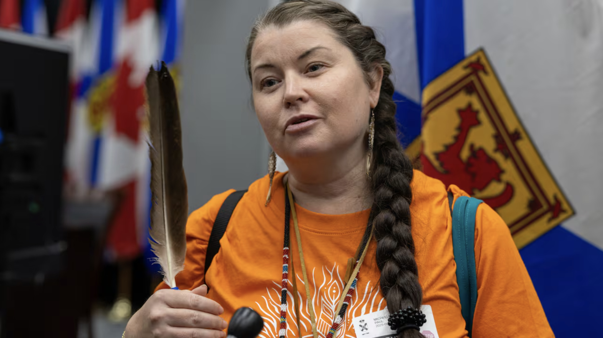 Crown lands bill would criminalize peaceful protests, critics say – Mi ...